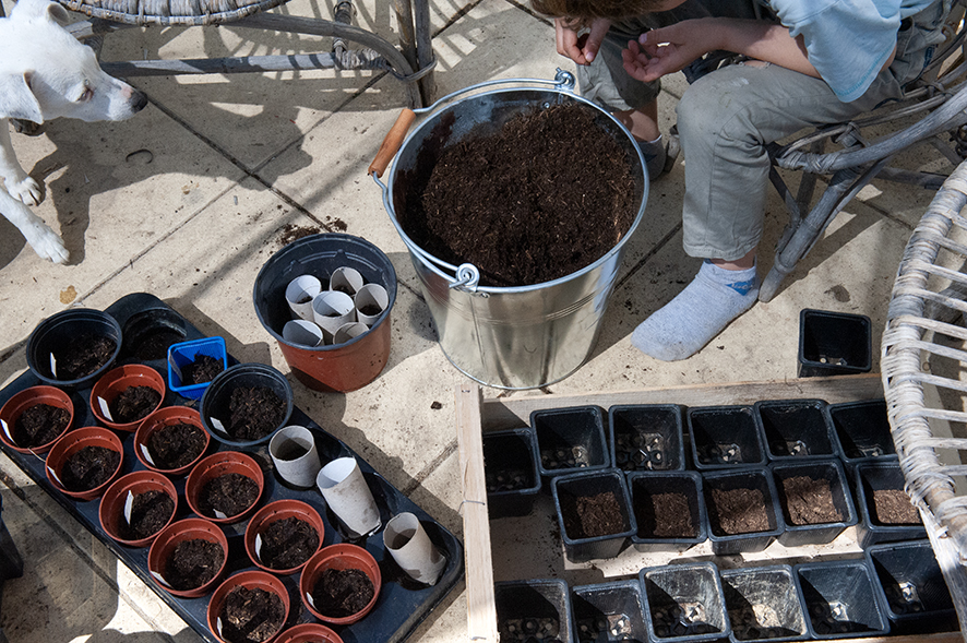 RÉALISER NOS SEMIS AVEC LES VARIÉTÉS ANCIENNES DE PASCAL POOT OU DE LA ...