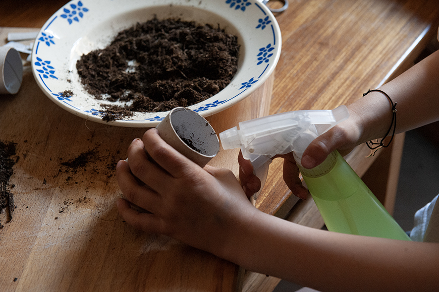 RÉALISER NOS SEMIS AVEC LES VARIÉTÉS ANCIENNES DE PASCAL POOT OU DE LA ...